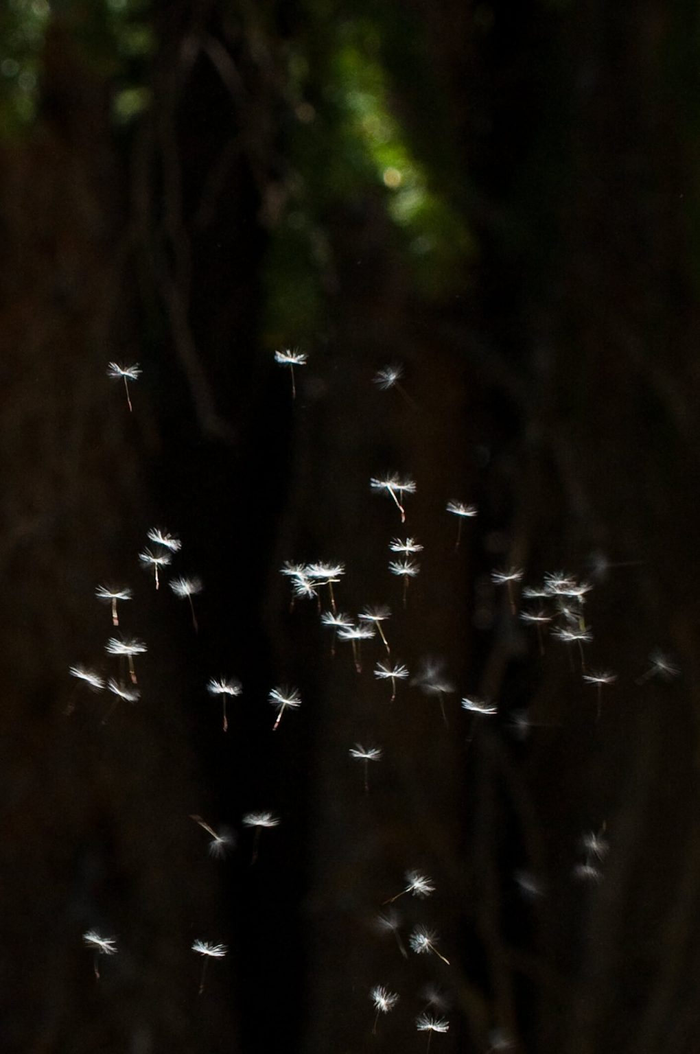 The ERMI Mold Test Lowdown - Michael Rubino