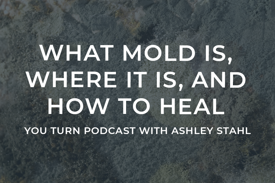 What Mold Is, Where It Is, and How to Heal - Michael Rubino - Author of ...
