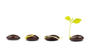 Mold in a CPAP Machine, A Breath Disrupter | TMM