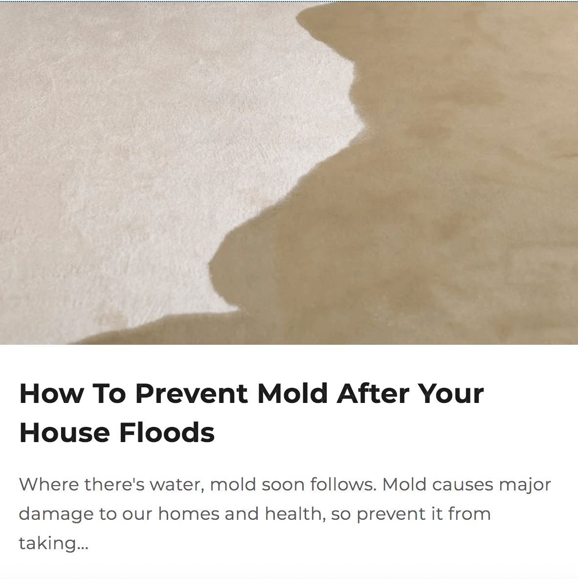 How To Prevent Mold After Your House Floods | TMR