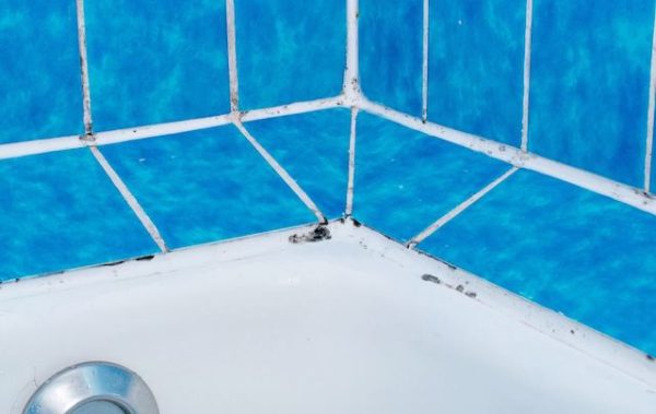 How to Get Rid of Mold on Grout | TMR