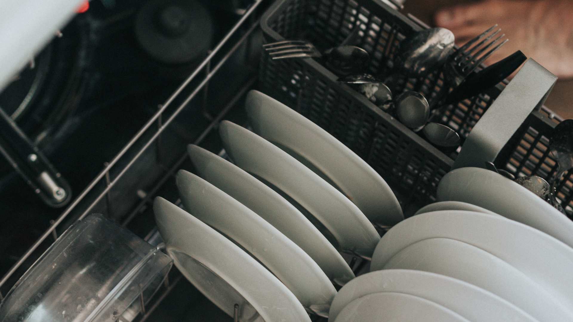 Five Ways to Prevent Mold in the Kitchen | Michael Rubino