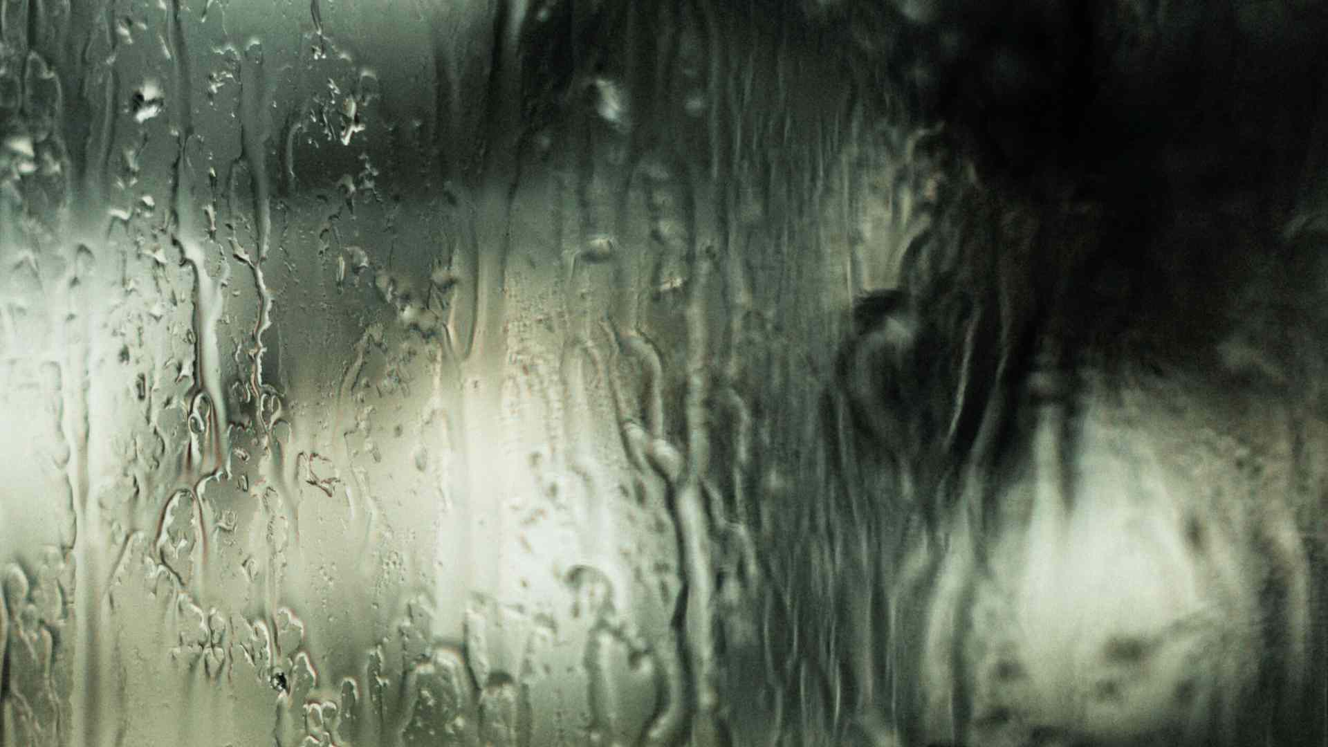 How To Protect Your Home From Mold In This Wild Weather | TMR