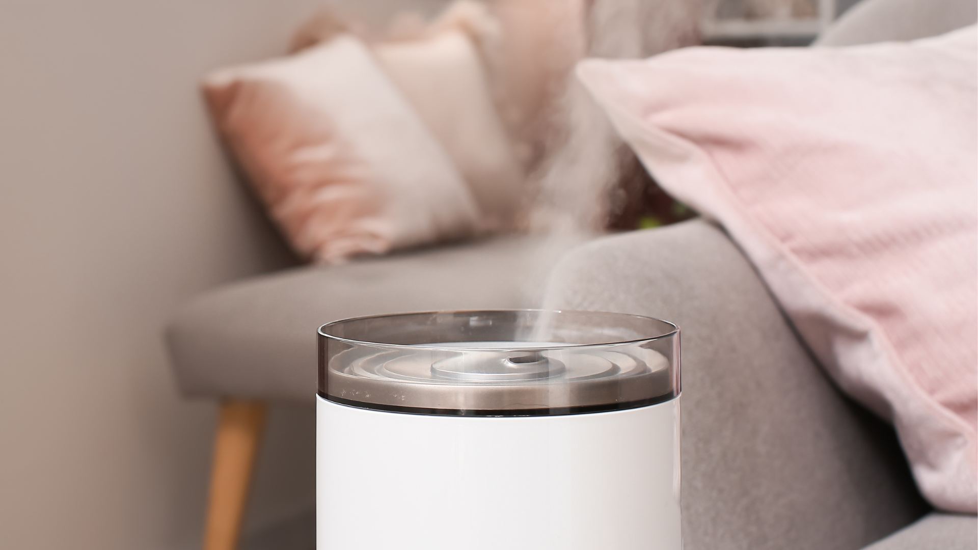 How To Keep Your Humidifier Clean